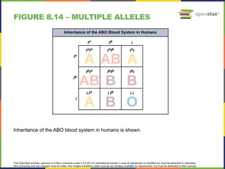 Non-Mendelian Genetics. Codominance, Incomplete Dominance, Sex-linked ...