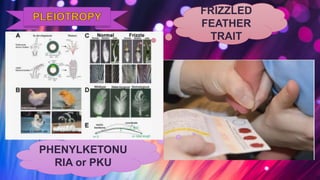 Non mendelian inheritance | PPTX