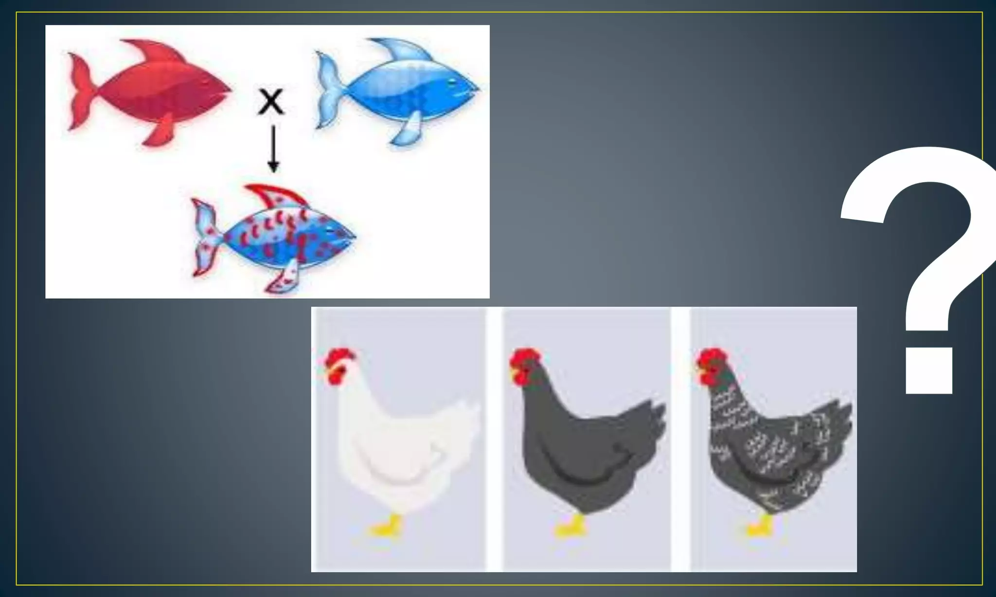 Non-Mendelian Patterns of Inheritance.pptx