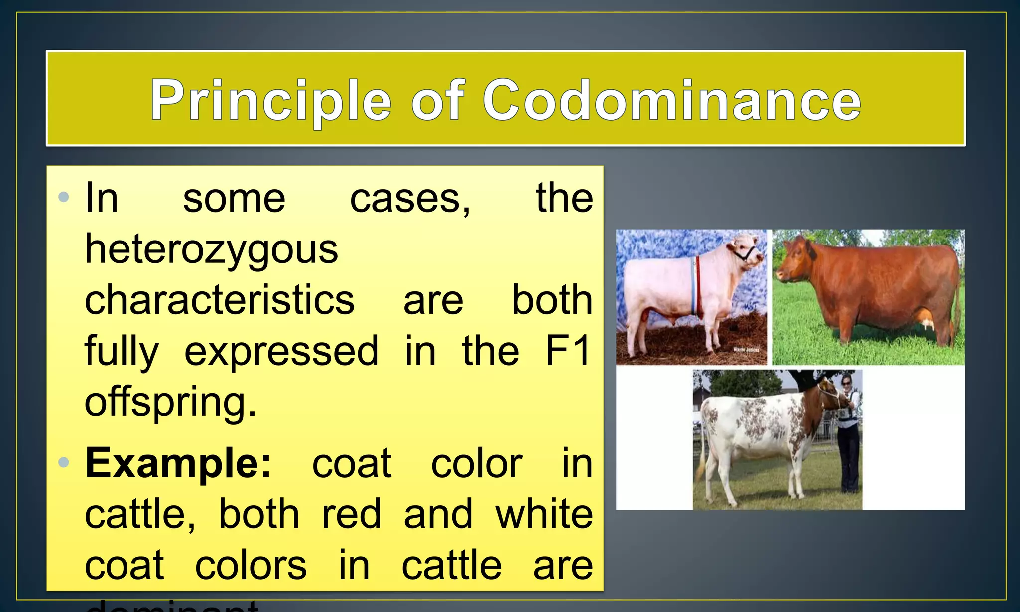 Non-Mendelian Patterns of Inheritance.pptx Non-Mendelian Patterns of Inheritance.pptx