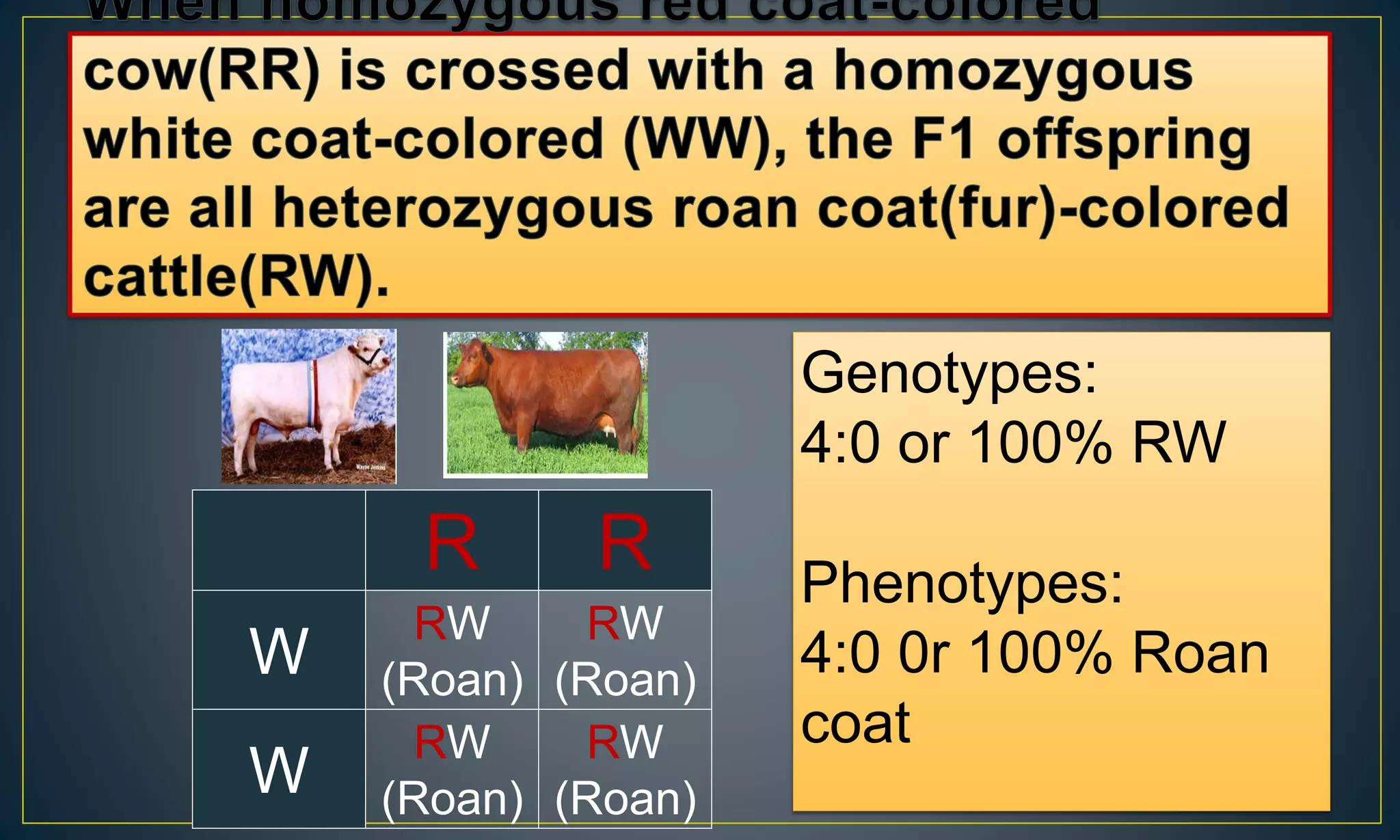 Non-Mendelian Patterns of Inheritance.pptx