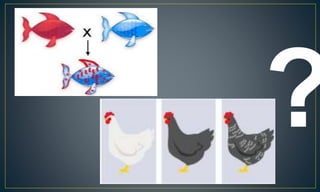Non-Mendelian Patterns of Inheritance.pptx