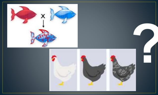 Non-Mendelian Patterns of Inheritance.pptx