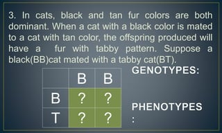 Non-Mendelian Patterns of Inheritance.pptx