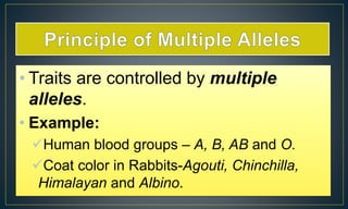 Non-Mendelian Patterns of Inheritance.pptx