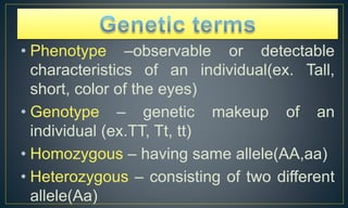 Non-Mendelian Patterns of Inheritance.pptx