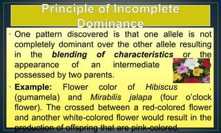 Non-Mendelian Patterns of Inheritance.pptx