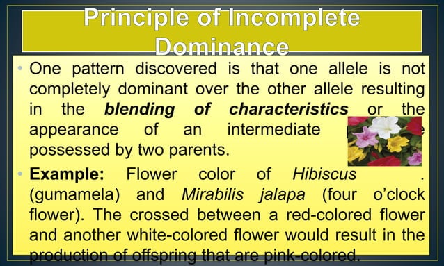 Non-Mendelian Patterns of Inheritance.pptx