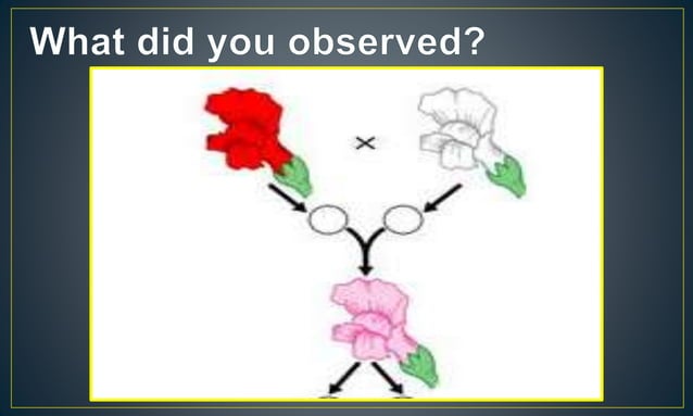 Non-Mendelian Patterns of Inheritance.pptx