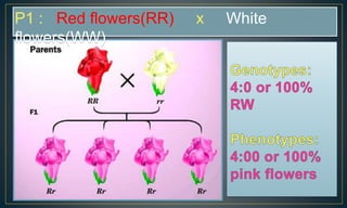 Non-Mendelian Patterns of Inheritance.pptx
