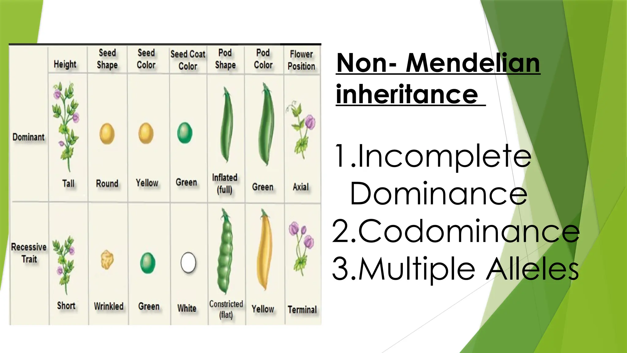 NON-MENDELIAN PATTERNS OF INHERITANCE.pptx