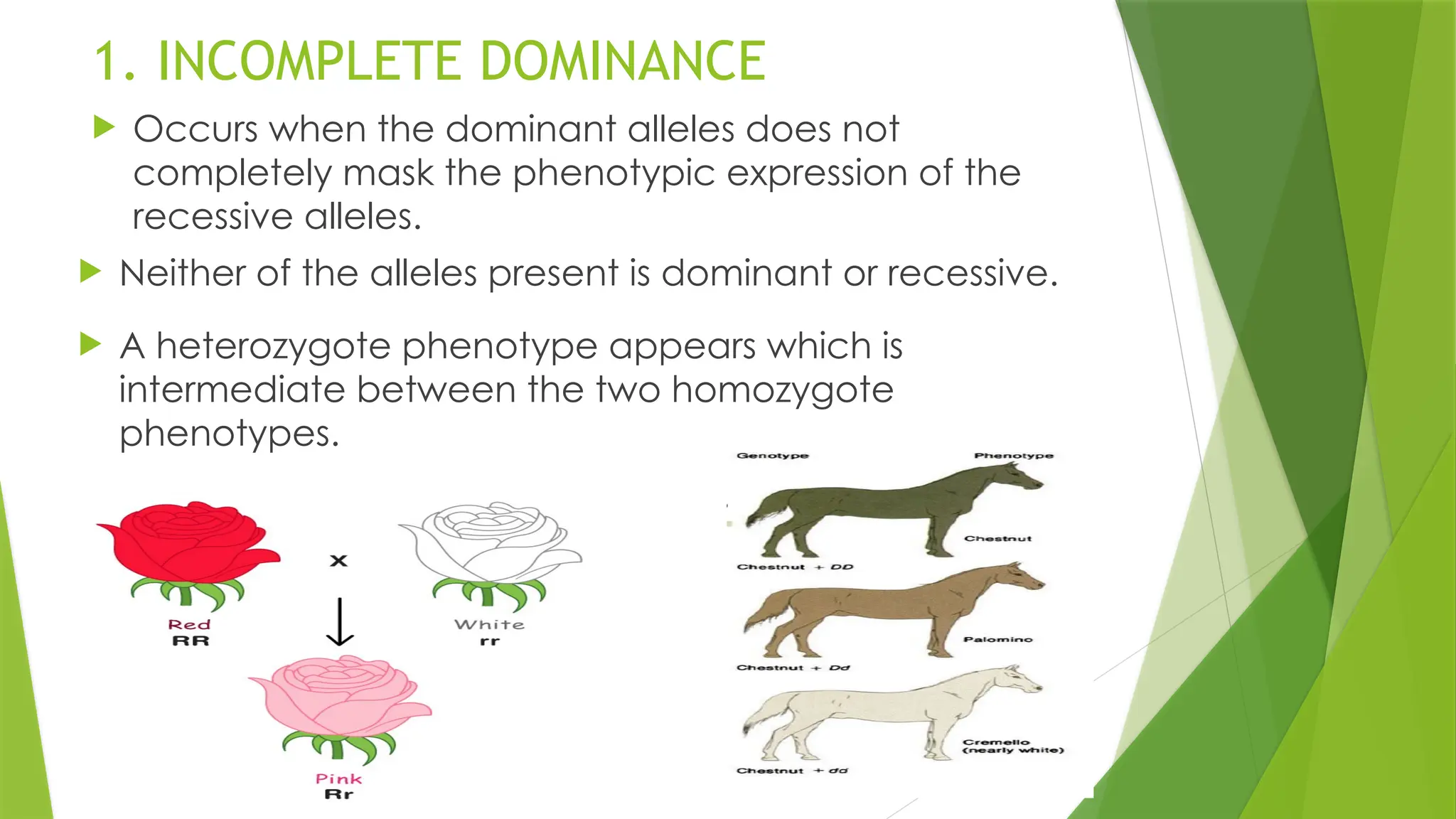 NON-MENDELIAN PATTERNS OF INHERITANCE.pptx | Genetics | Science