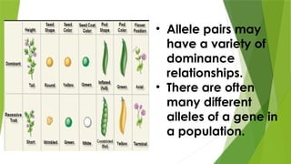 NON-MENDELIAN PATTERNS OF INHERITANCE.pptx