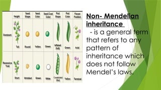 NON-MENDELIAN PATTERNS OF INHERITANCE.pptx
