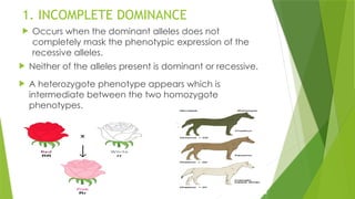 NON-MENDELIAN PATTERNS OF INHERITANCE.pptx