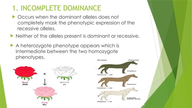 NON-MENDELIAN PATTERNS OF INHERITANCE.pptx NON-MENDELIAN PATTERNS OF INHERITANCE.pptx