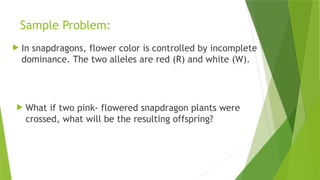 NON-MENDELIAN PATTERNS OF INHERITANCE.pptx