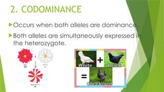 NON-MENDELIAN PATTERNS OF INHERITANCE.pptx
