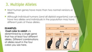 NON-MENDELIAN PATTERNS OF INHERITANCE.pptx
