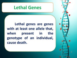Non-Mendellian genetics | PPTX