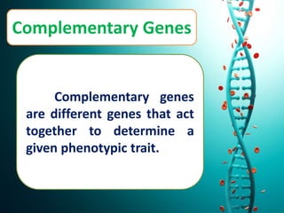 Non-Mendellian genetics | PPTX