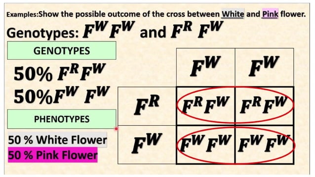 Non-Mendellian Genetics lesson for grade 9 .pptx