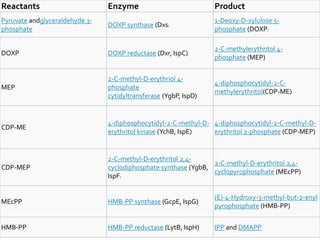 Non mevalonate pathway | PPTX