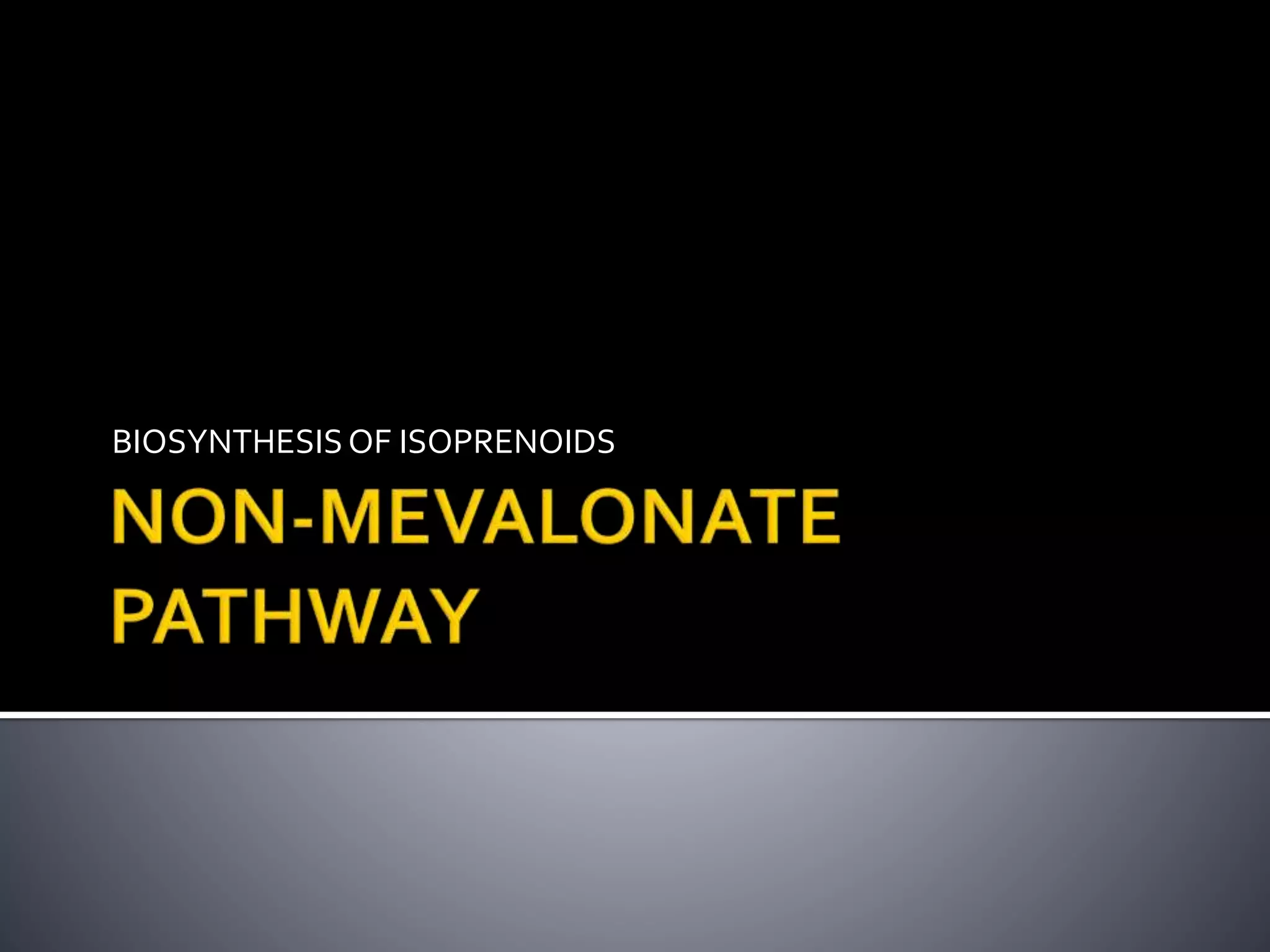 Non mevalonatepathway | PDF