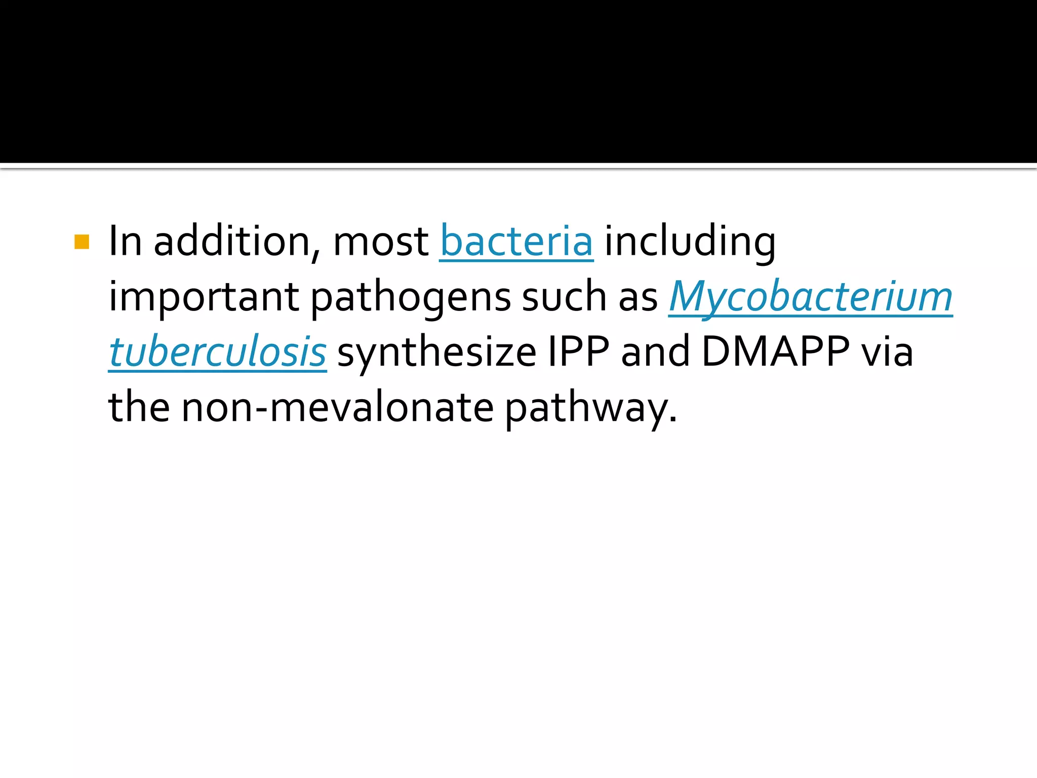 Non mevalonatepathway | PDF