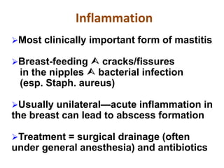 Non neoplastic lesions of breast dr. mangala 14-9-2016 | PPTX | Medical ...