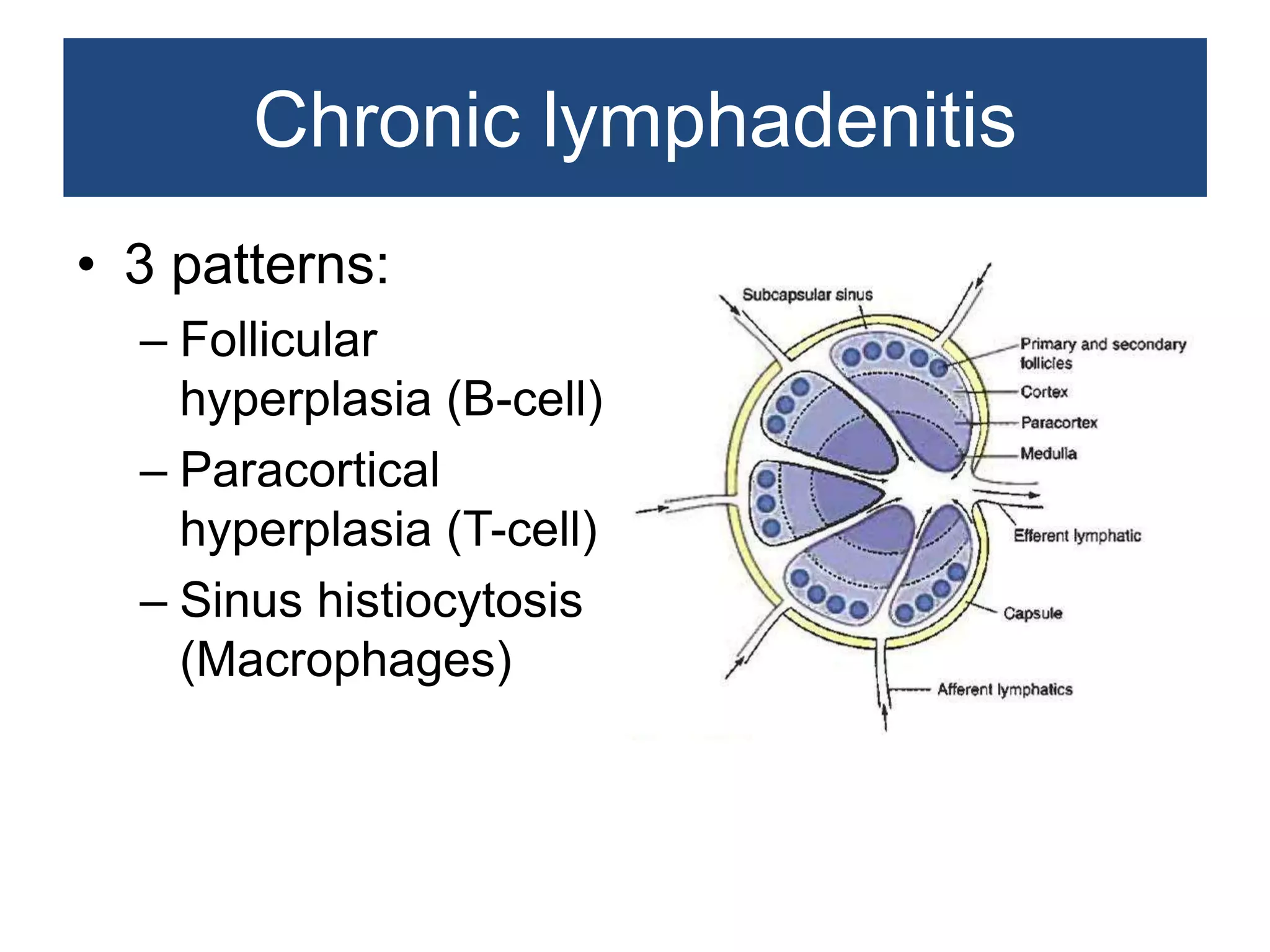 Non neoplastic lesions of lymph node | PPTX