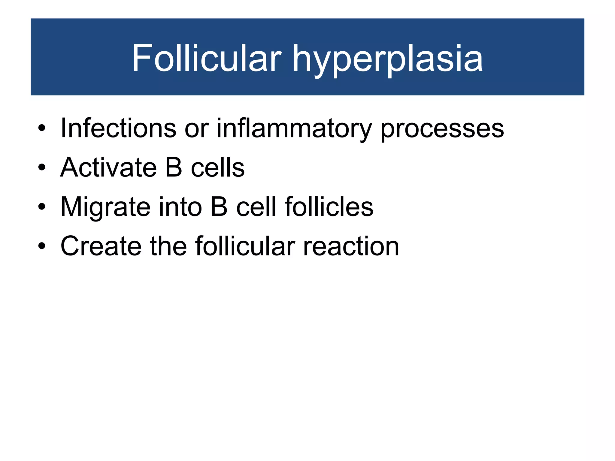 Non neoplastic lesions of lymph node | PPTX
