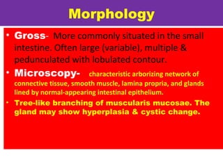Non neoplasticColonic polyps | PPT