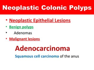 Non neoplasticColonic polyps | PPT