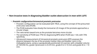 NON-NEUROGENIC MALE LUTS EAU Guidlines presentation | PPT