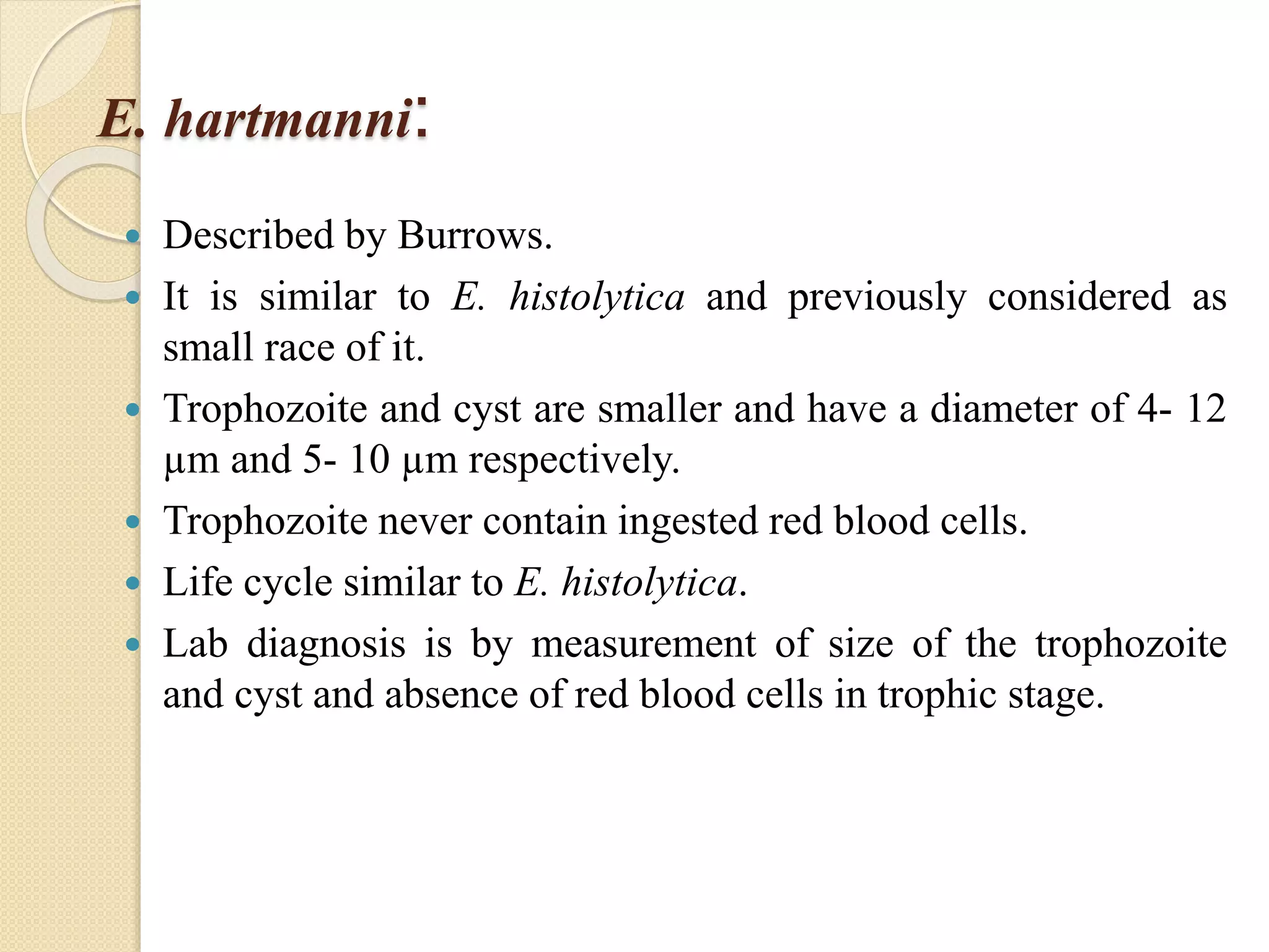 non-pathogenic amoeba.pptx