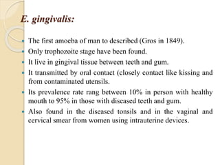 non-pathogenic amoeba.pptx