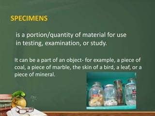 NON PROJECTED VISUALS by Lorraine Anoran | PPTX