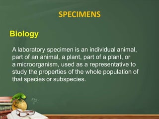 NON PROJECTED VISUALS by Lorraine Anoran | PPTX