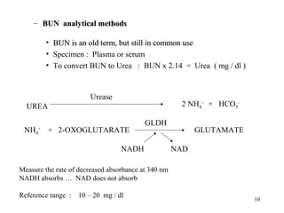 Non protein nitrogen | PPT