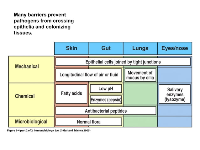 Non Specific Immune Defense | PPT | Infectious Diseases | Diseases and ...