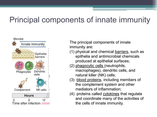 Non-Specific Defense (Innate Immunre response) | PPTX