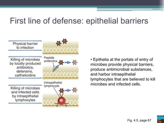 Non-Specific Defense (Innate Immunre response) | PPTX