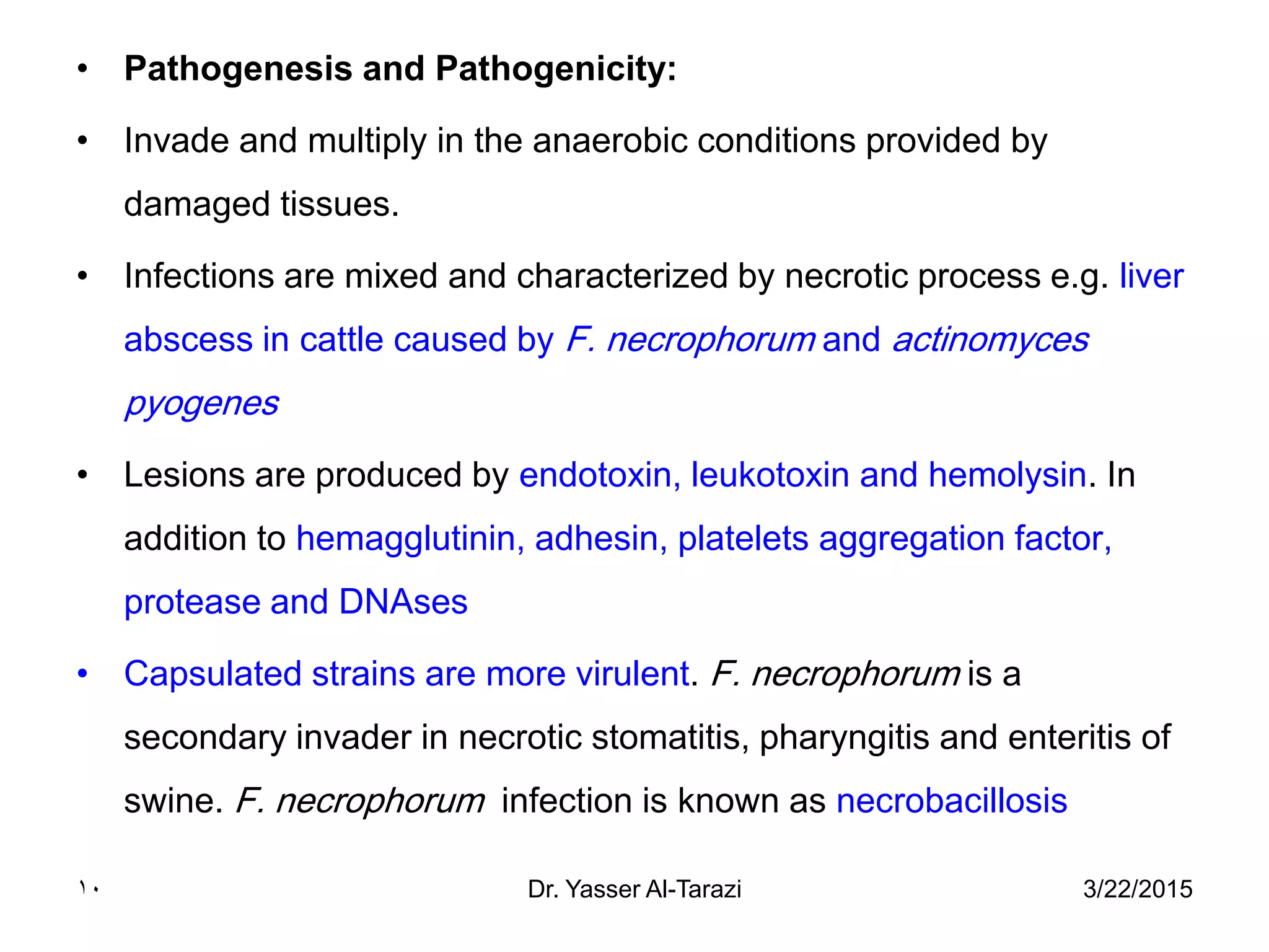 Non spore-forming anaerobic-bacteria2 | PDF