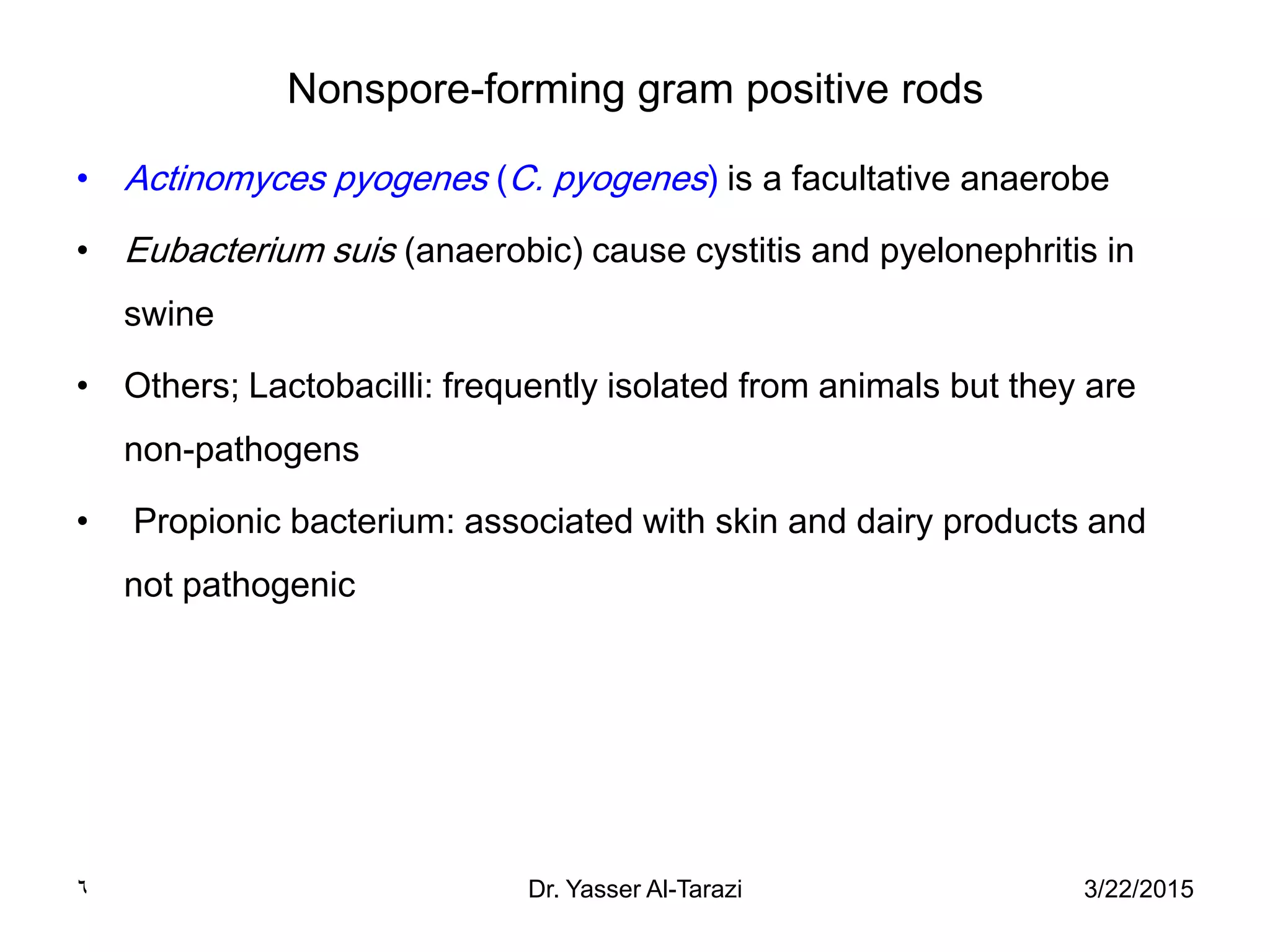 Non spore-forming anaerobic-bacteria2 | PPT