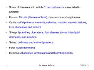 Non spore-forming anaerobic-bacteria2 | PPT