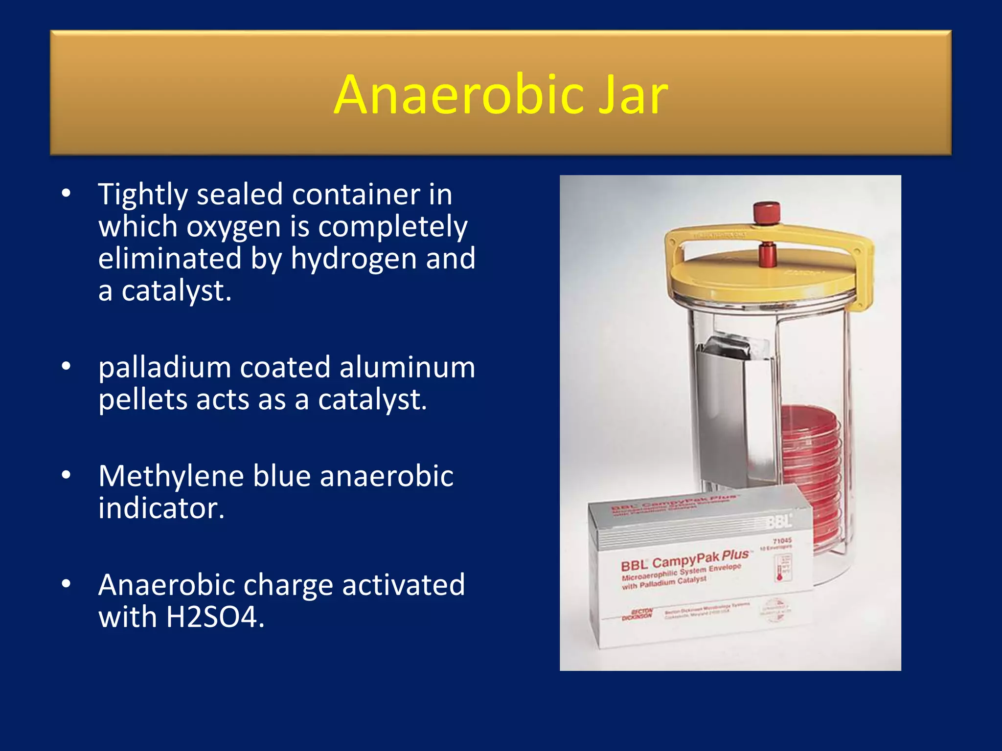 Non sporing anaerobes | PPTX