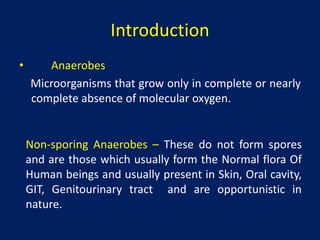 Anaerobes definition store