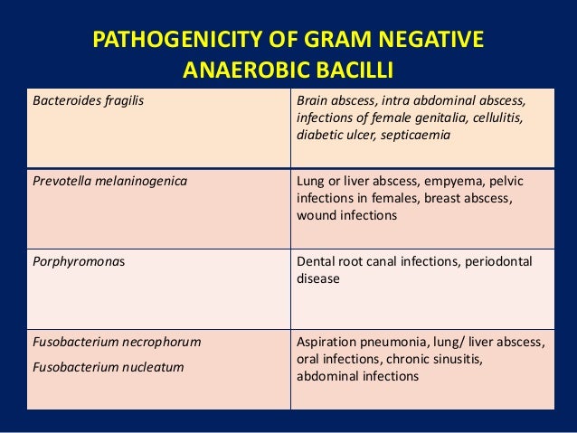Non sporing anaerobes