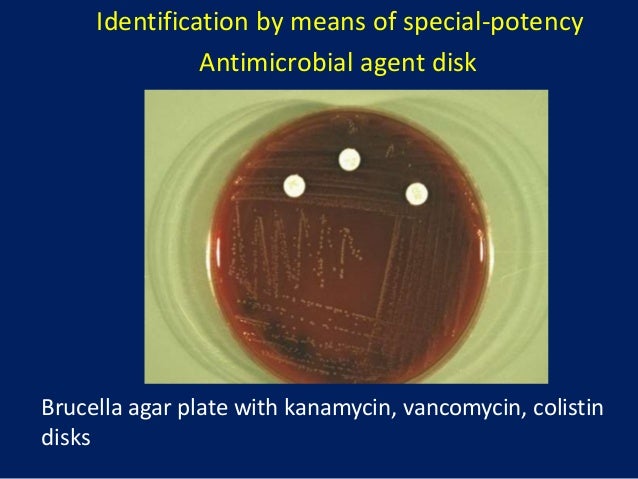 Non sporing anaerobes